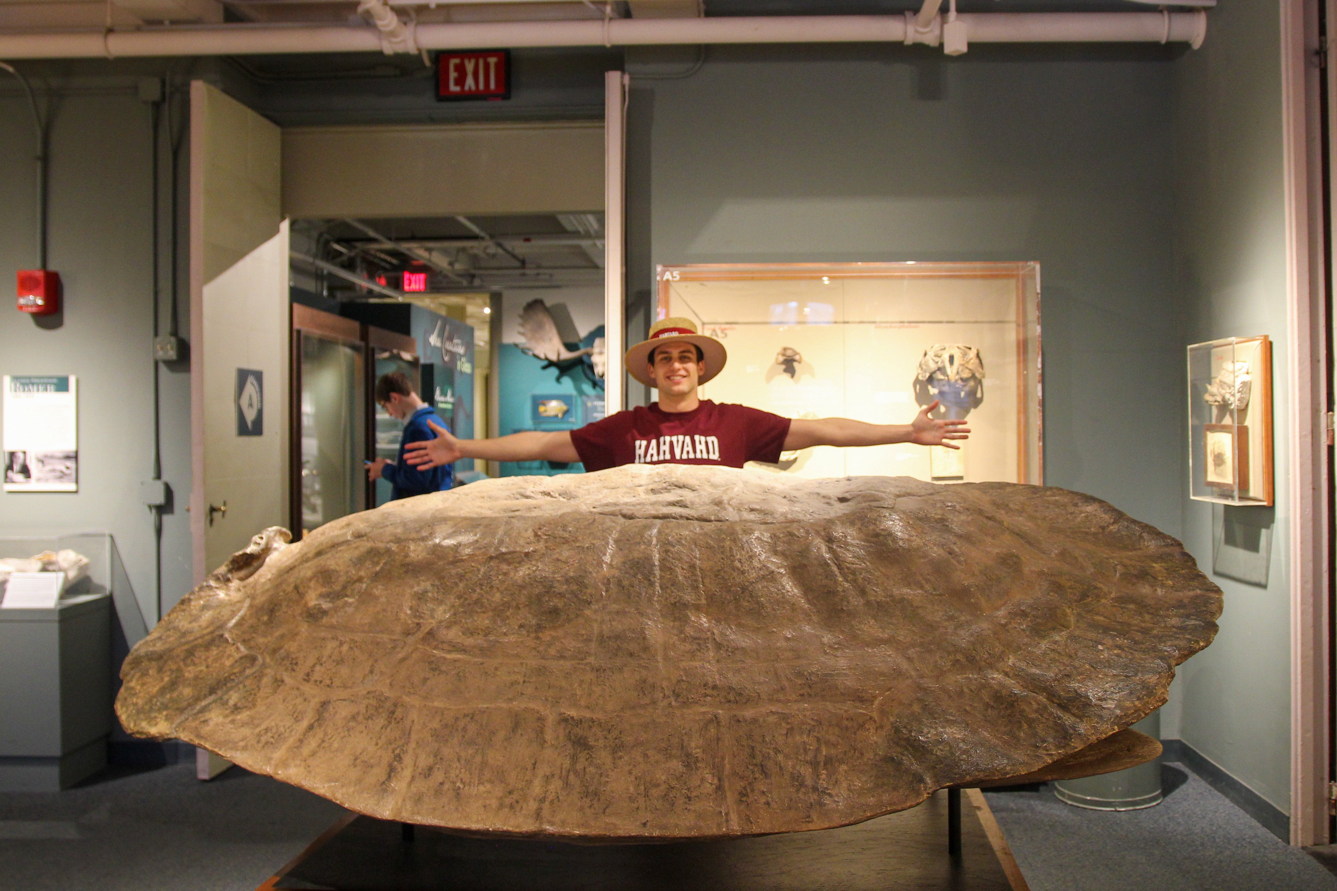 Tour Harvard and Experience the Museum of Natural History – Trademark Tours