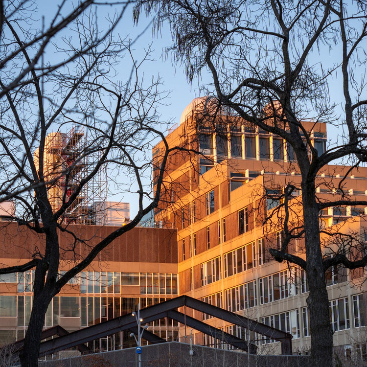 Public Tours of Harvard – Trademark Tours